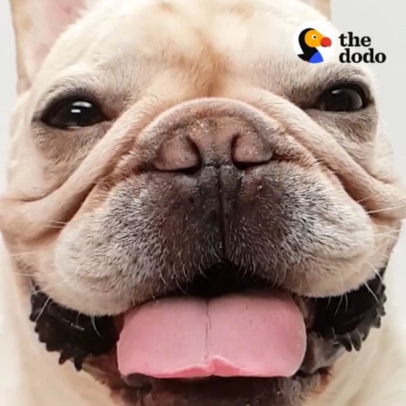 Photography - For creators and storytellers who see the world ...