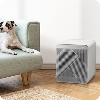 Improve your audio experience with Q-Symphony