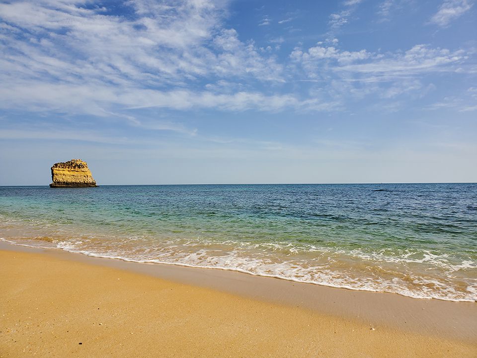 Samsung Galaxy Fold Camera - 6 Wide Angle Phone Cameras | Samsung US