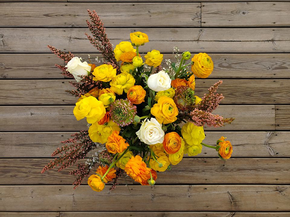 Samsung Galaxy Fold Camera - 6 Wide Angle Phone Cameras | Samsung US