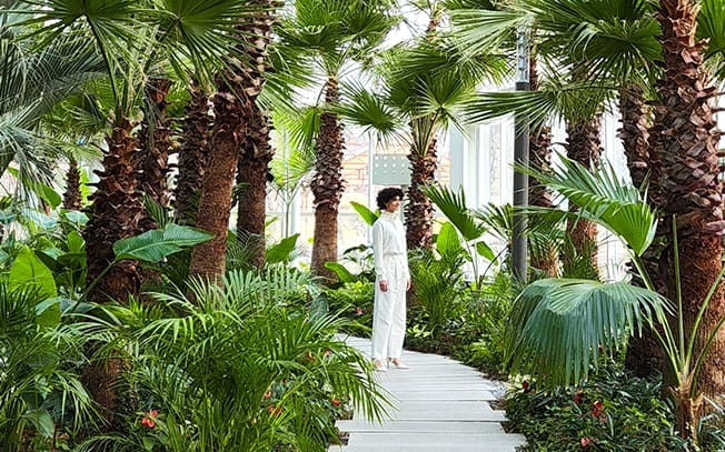 Samsung Galaxy S22 Ultra | Nightography Camera | Samsung US