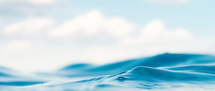 Models | Galaxy S22 & S22+ | Samsung US